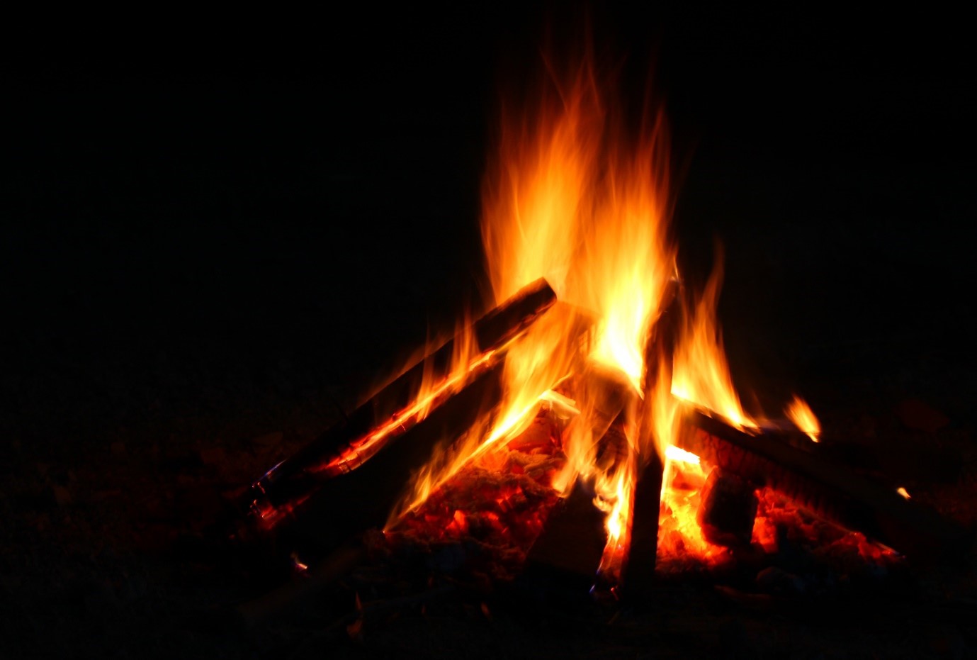 Lighting the fire: leadership for corporate partnership success ...