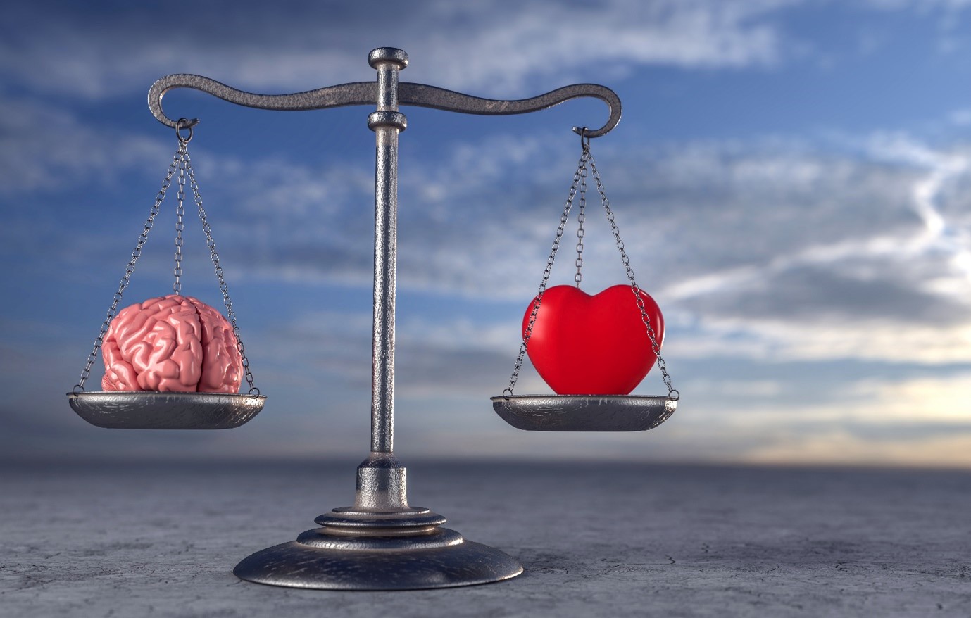 Balancing the head and heart in partnerships - Stellar Partnerships