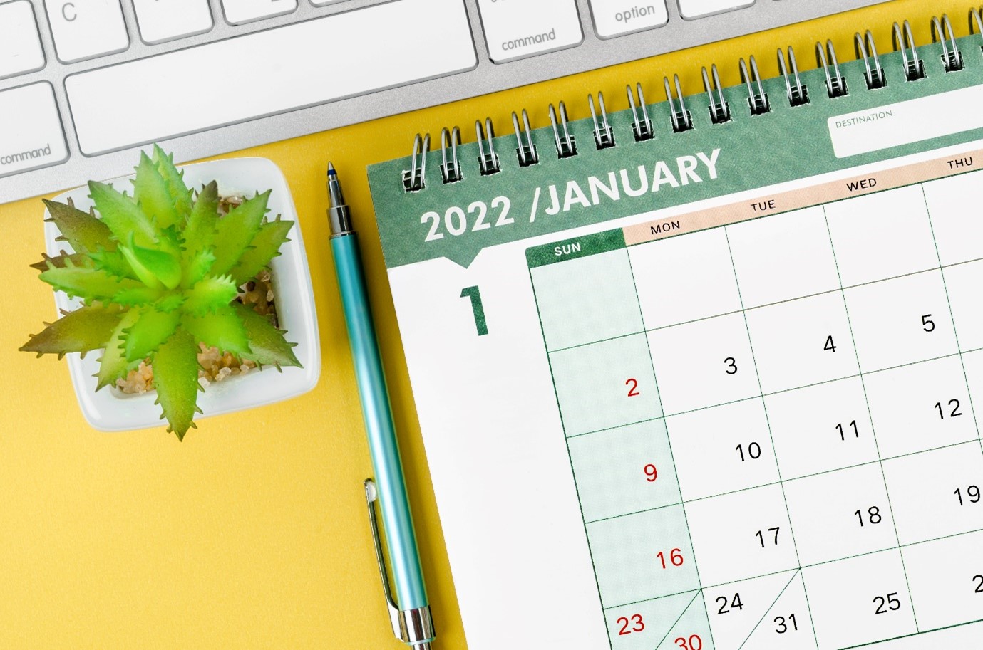 Reflect and renew for 2022 - Stellar Partnerships