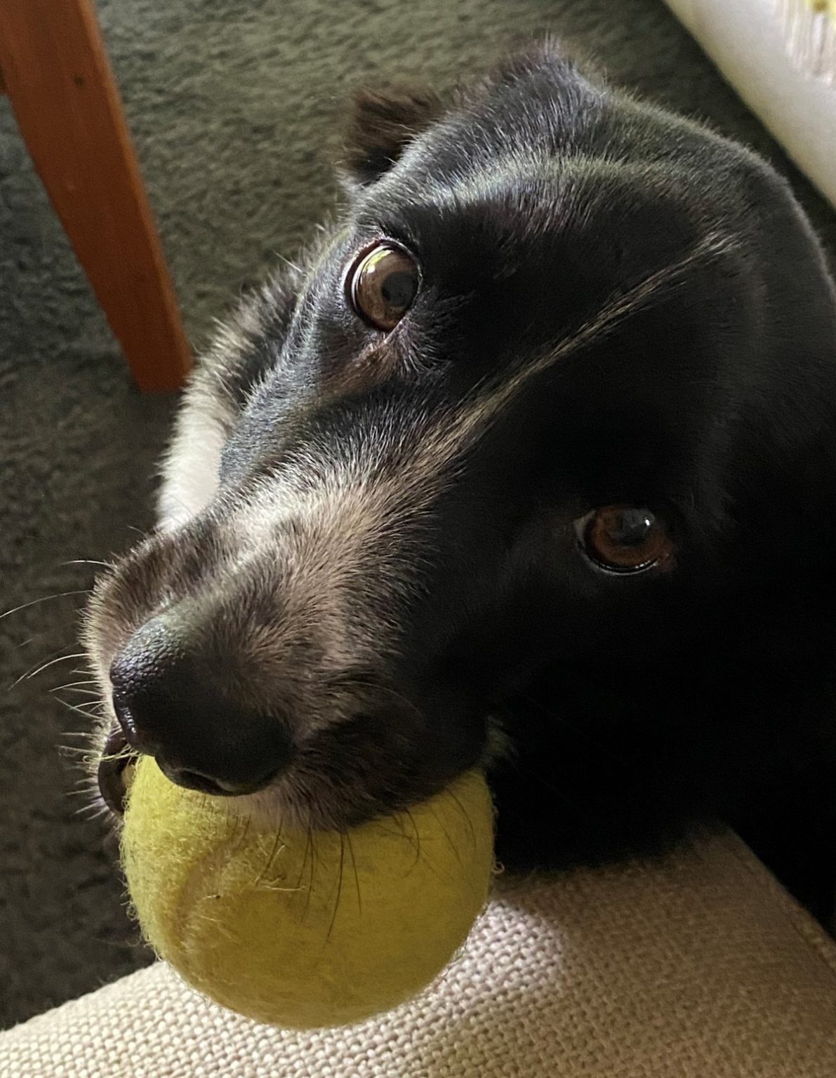 4 ways to prospect without pestering - Stellar Partnerships